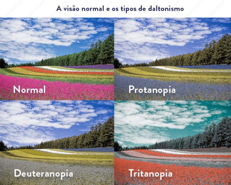Teste de daltonismo. Descubra se você é daltônico | Lenscope