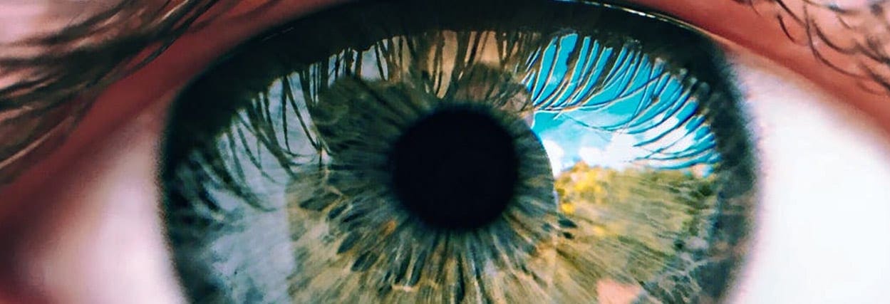 Pupila: função e tamanho normal em nossos olhos | Lenscope