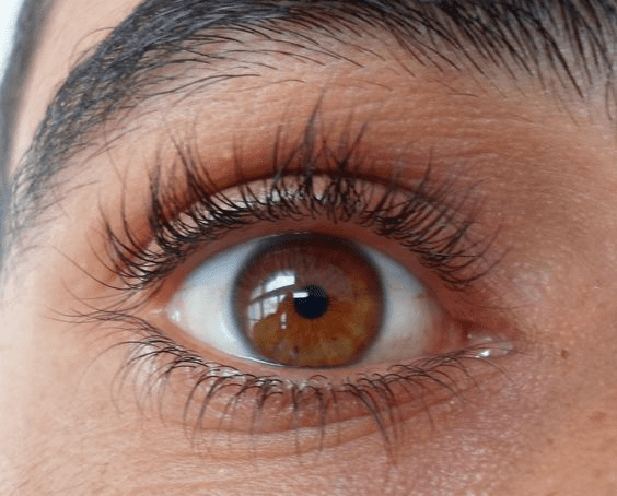 Tipos de olhos castanhos: origem, fatos e curiosidades sobre a cor ...