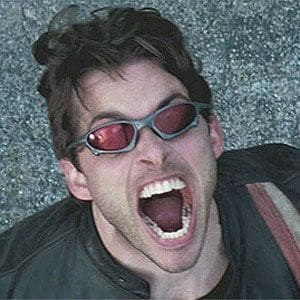 Tudo sobre o óculos Penny da Oakley | Lenscope